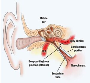 Ear And Eustachian Tube Treatments in St. Peters, MO